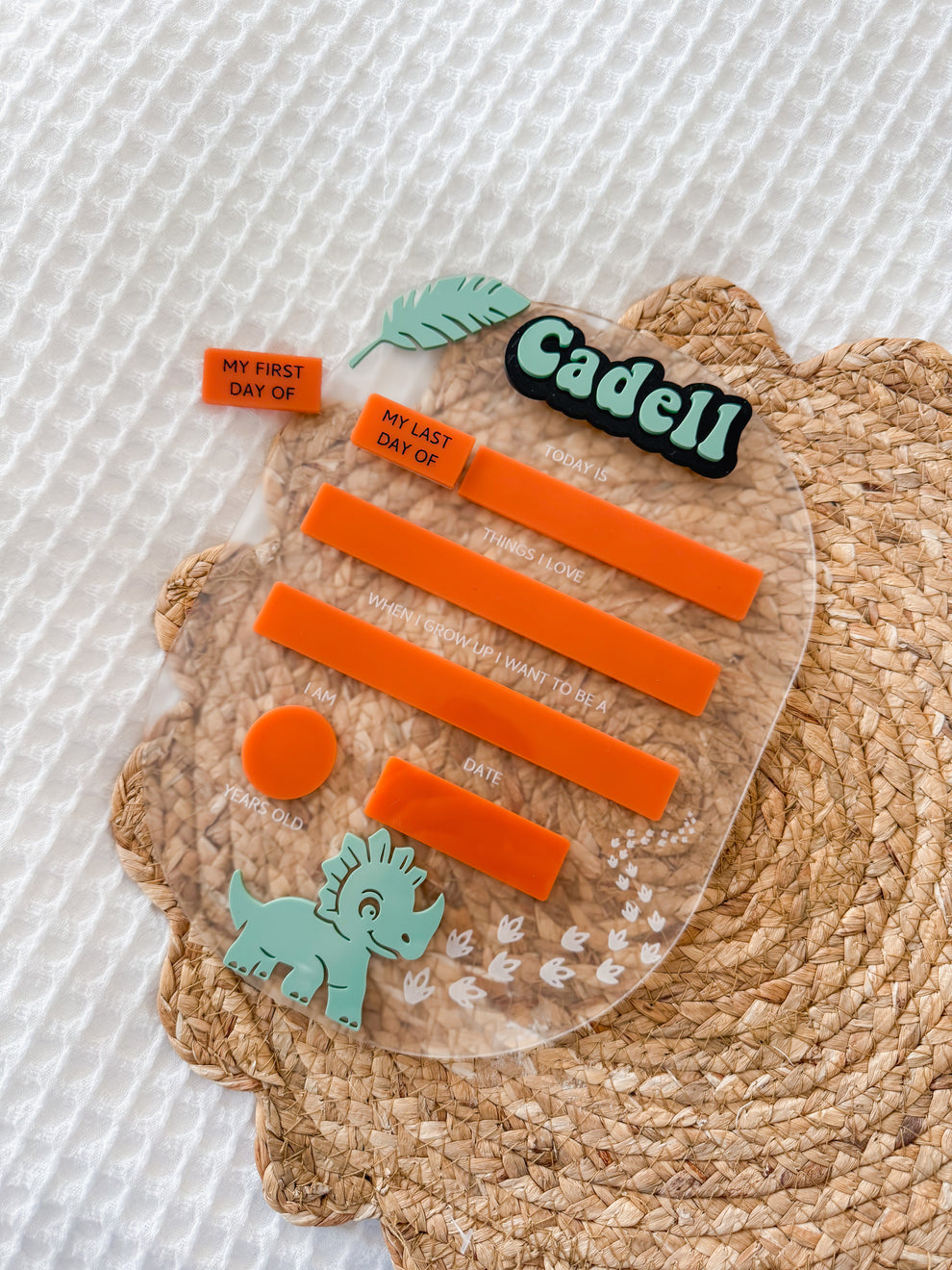 School Board | Interchangeable | Dino – little redandco